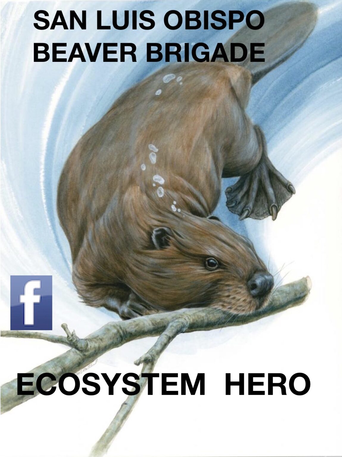 2020 Biodiversity First! Research Grant: Beavers, Climate Change, and ...